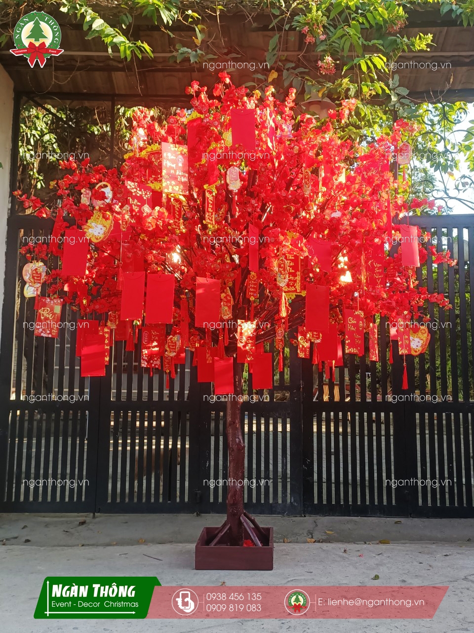 Cây Lì Xì - Sự Kiện Ngàn Thông